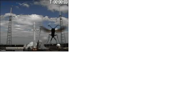 Attack Of The Space Alien Bug! | LumberJocks Woodworking Forum