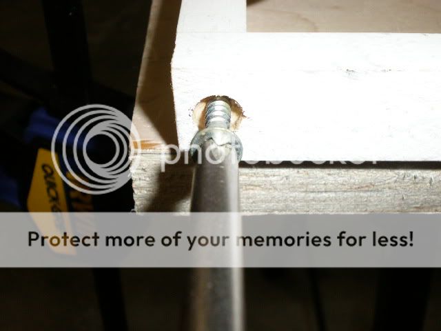 Basic DIY - Making a scrog screen | Grasscity Forums - The #1 Marijuana ...