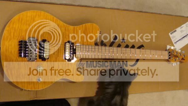 NGD -- Sterling by MusicMan AX40 content! - Electric Guitars - Harmony ...