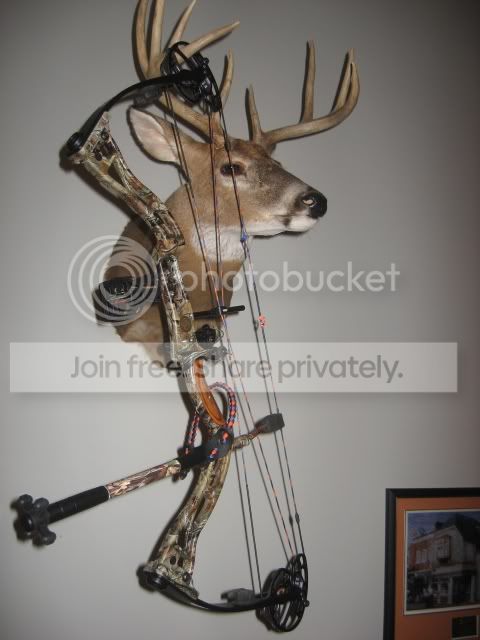 Hail to The Chief!!! (My Elite Judge) | Archery Talk Forum